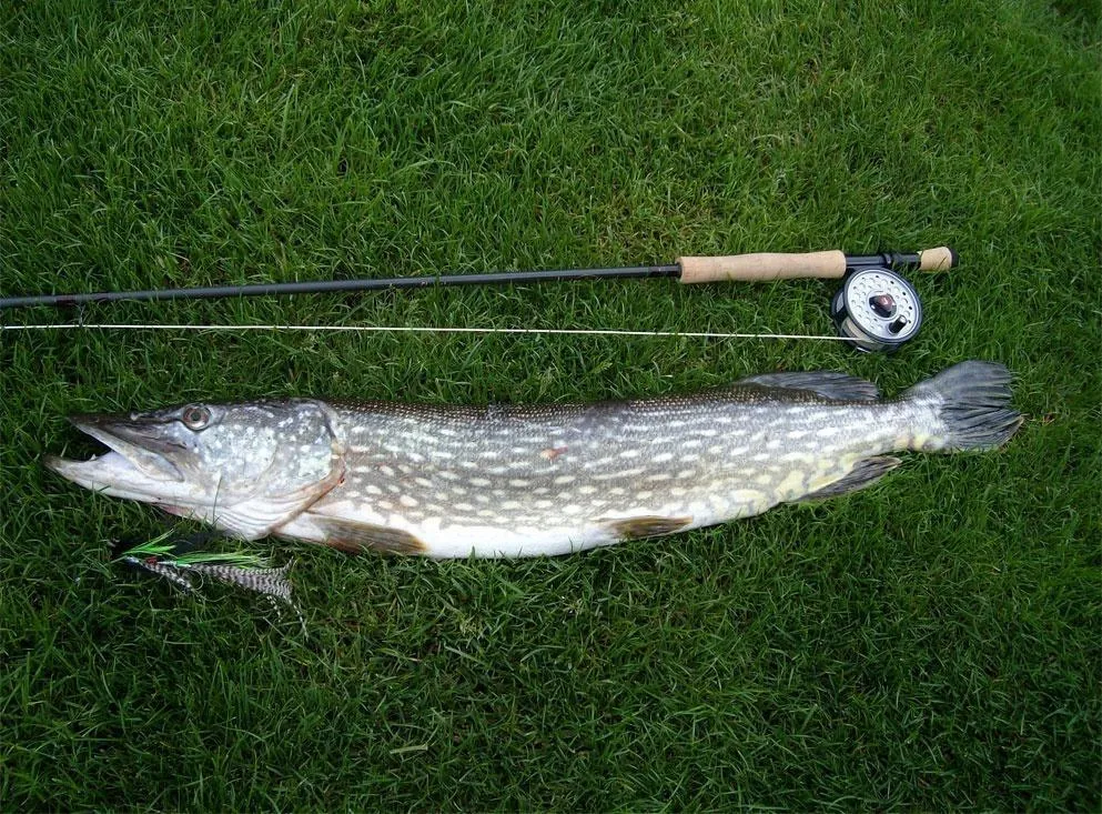 Ørsted Put and Take Fiskesø | Ørredfiskeri midt på Sjælland