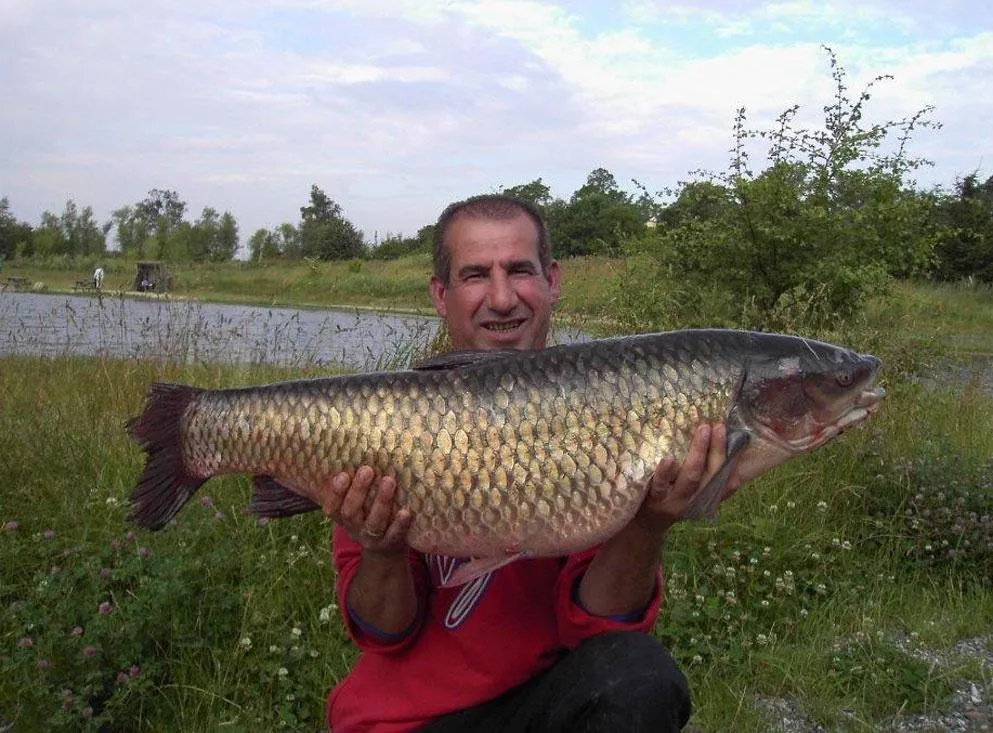 Ørsted Put and Take Fiskesø | Ørredfiskeri midt på Sjælland